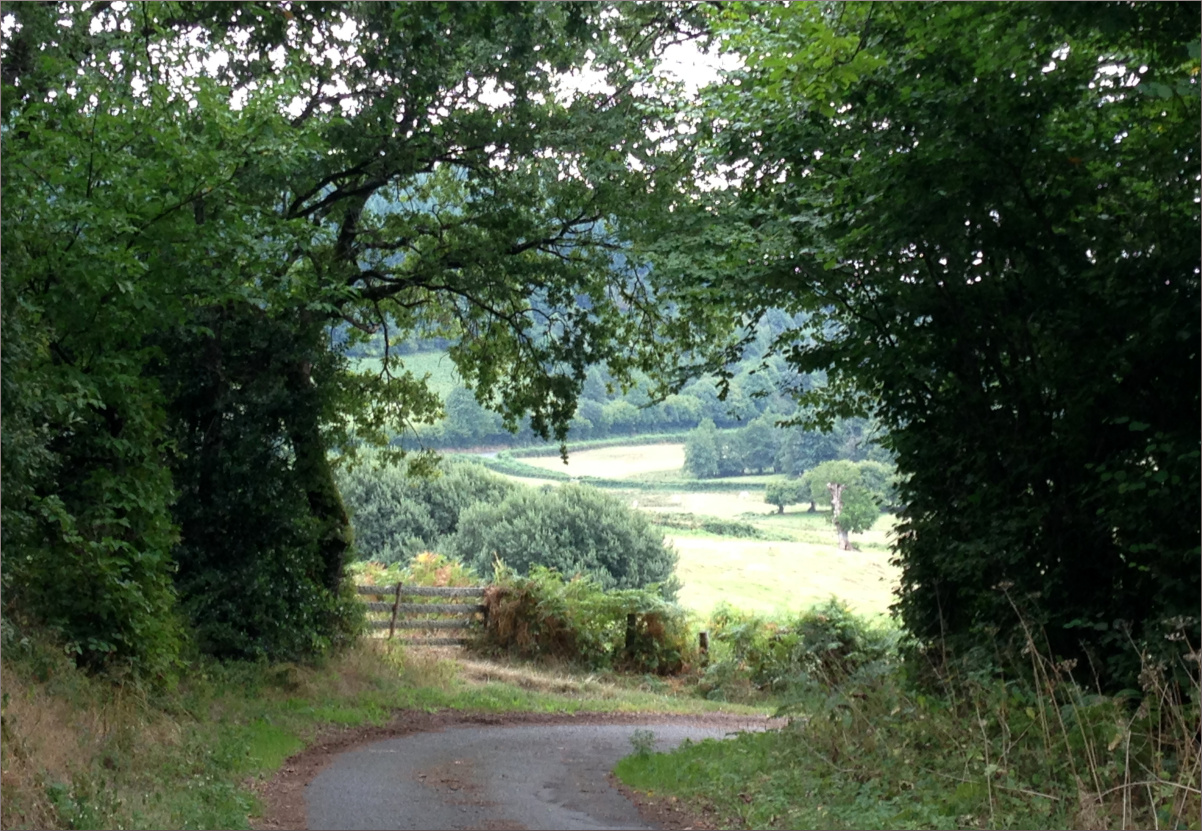 Parc du Morvan (France) | inthegooey