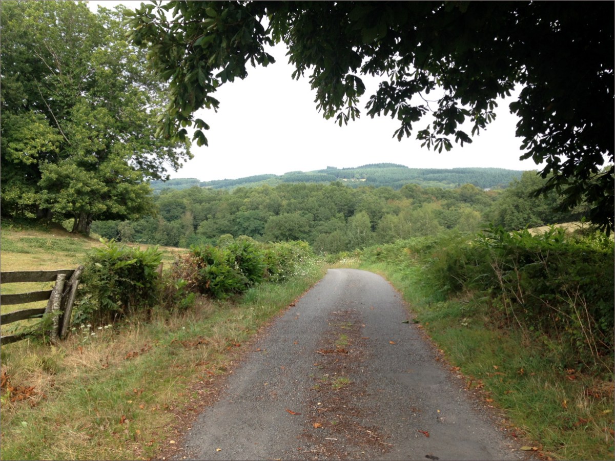 Parc du Morvan (France) | inthegooey