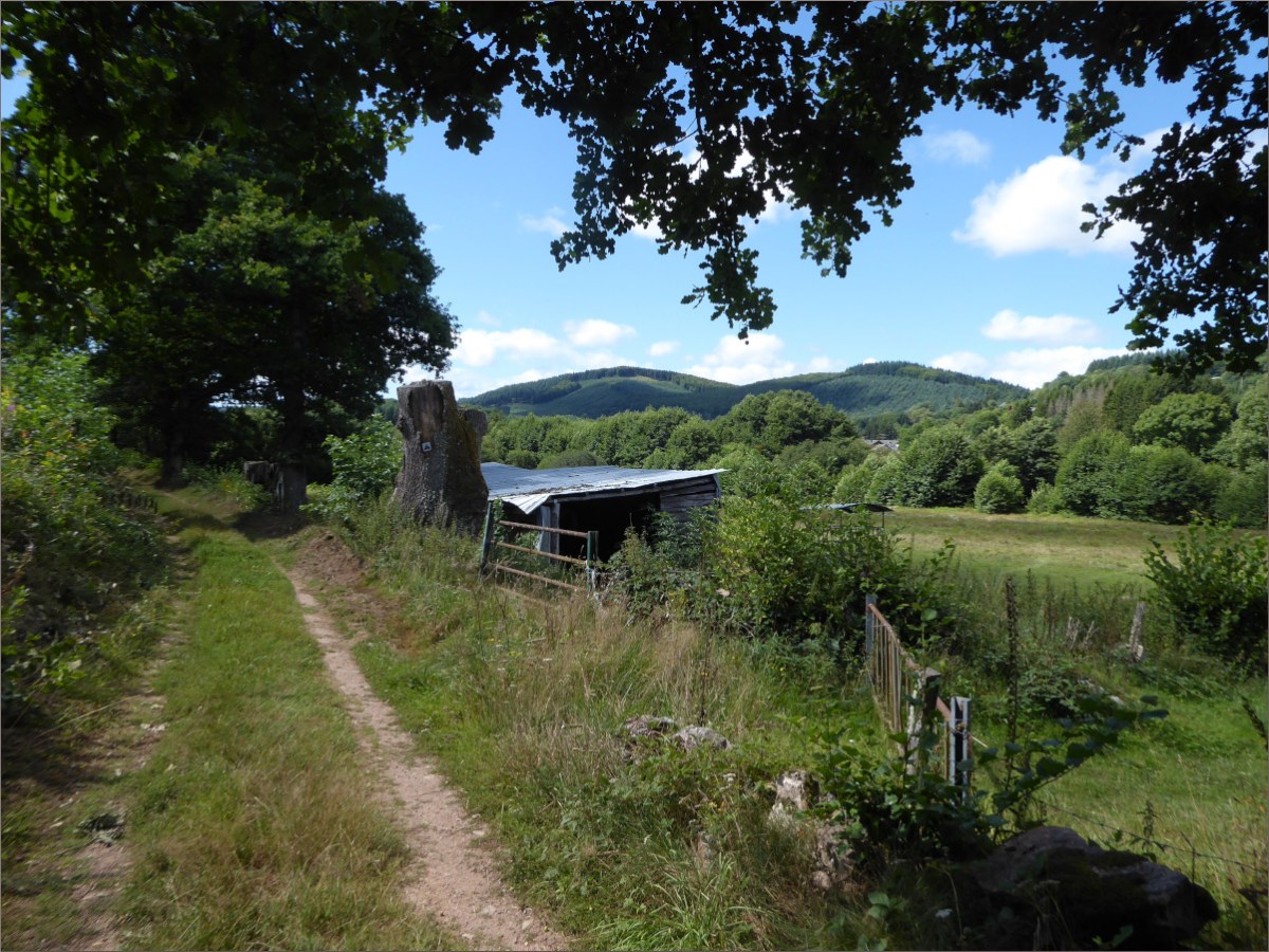 Parc du Morvan (France) | inthegooey