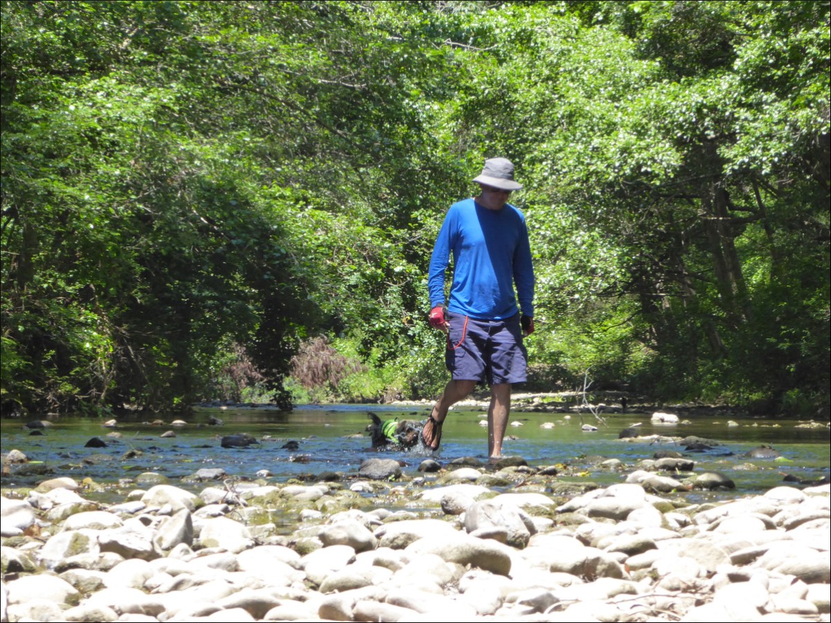 Social Distancing on Soquel Creek in Capitola, May 2020 | inthegooey